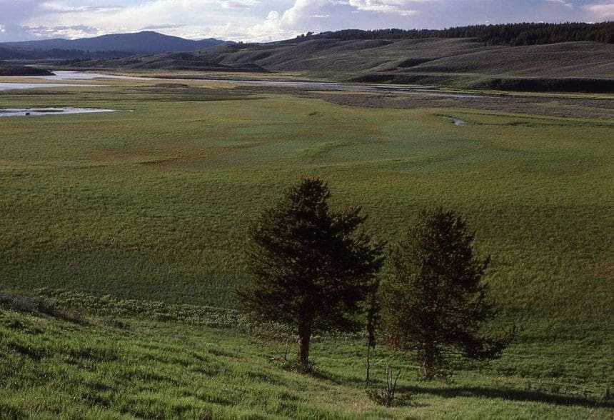 Yellowstone National Park: The Best 10 Minute Guide