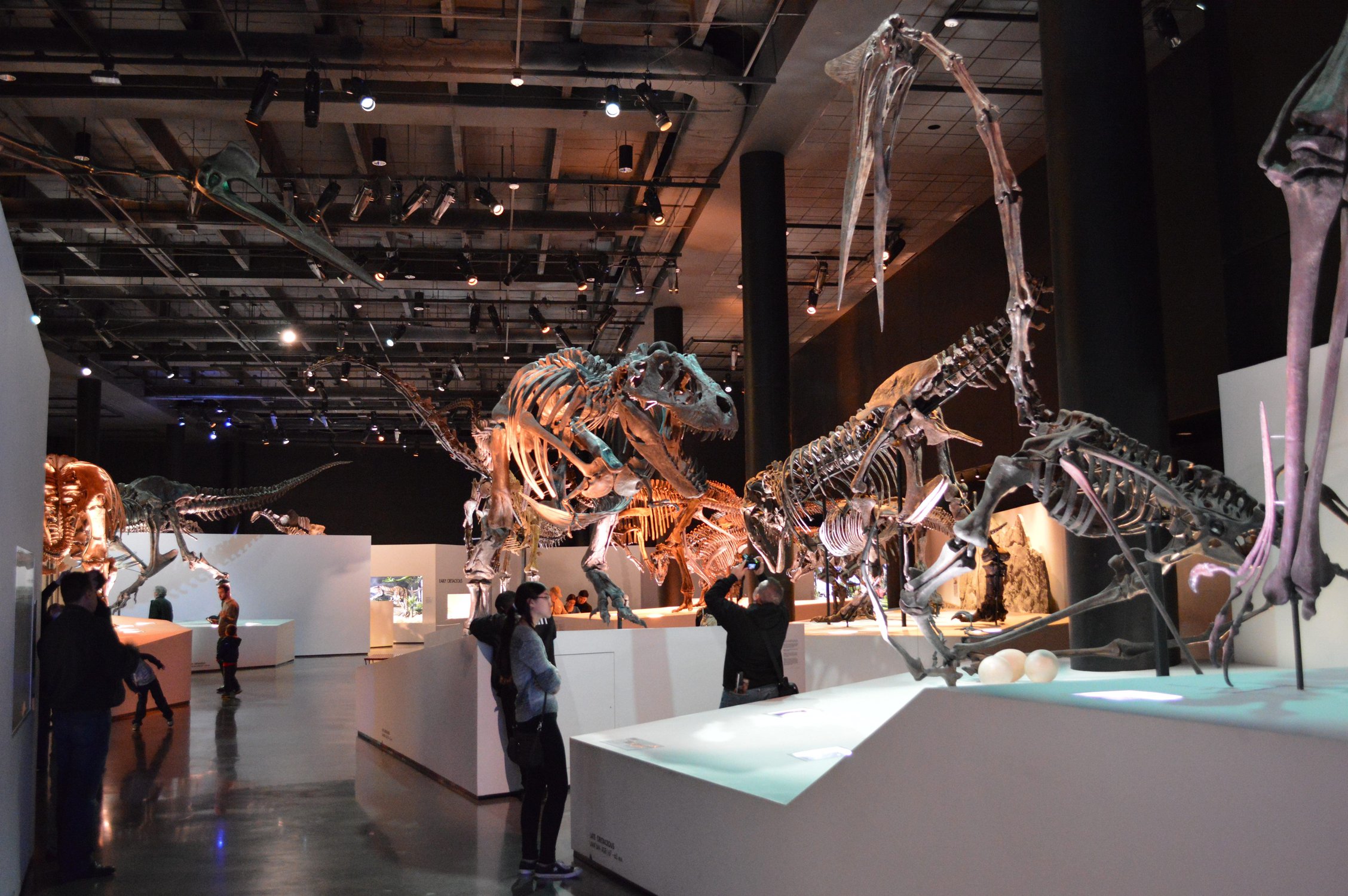 13 Best Things To Do In Houston: A Wonderful Guide