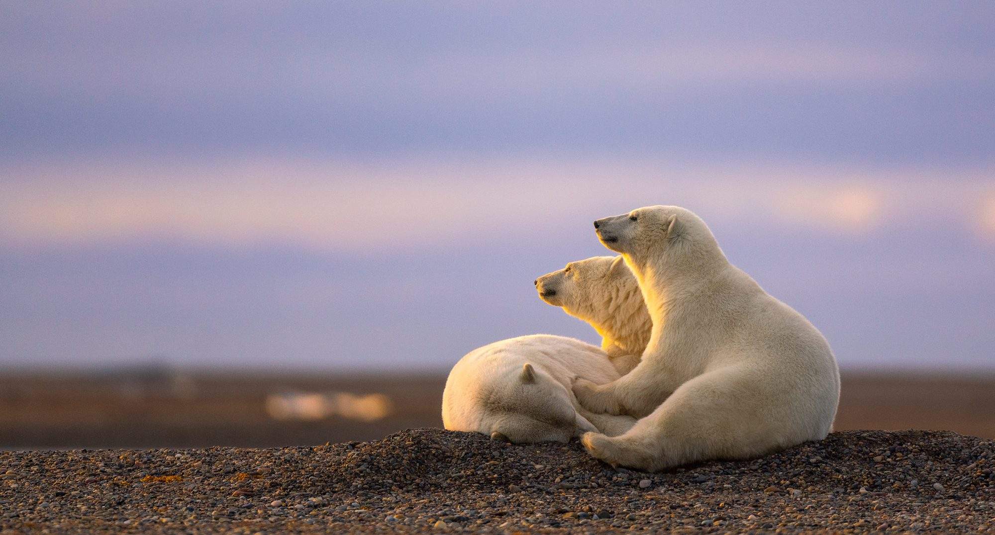Fun-Facts About Manitoba - 10 Amazing Ones!