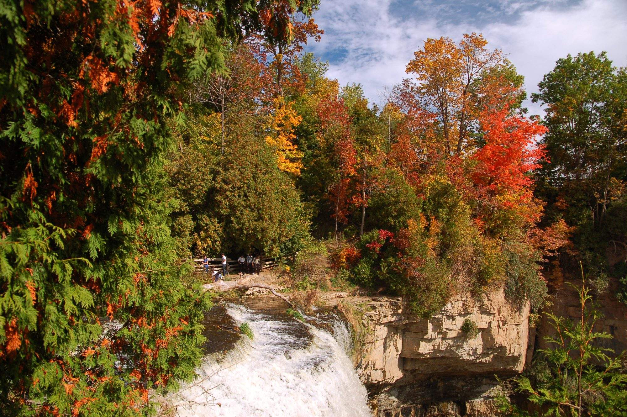 Webster's Falls: 6 Essential Facts About the Iconic Waterfall