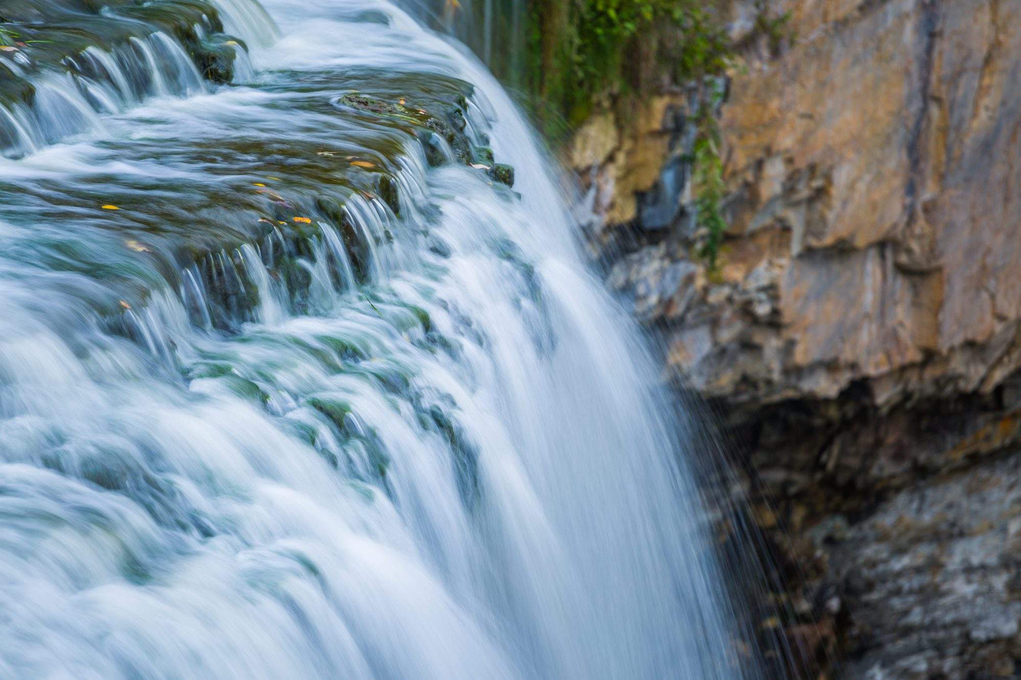 Webster's Falls: 6 Essential Facts About the Iconic Waterfall