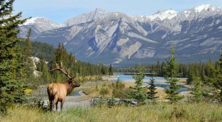 10 Best Things About Canada