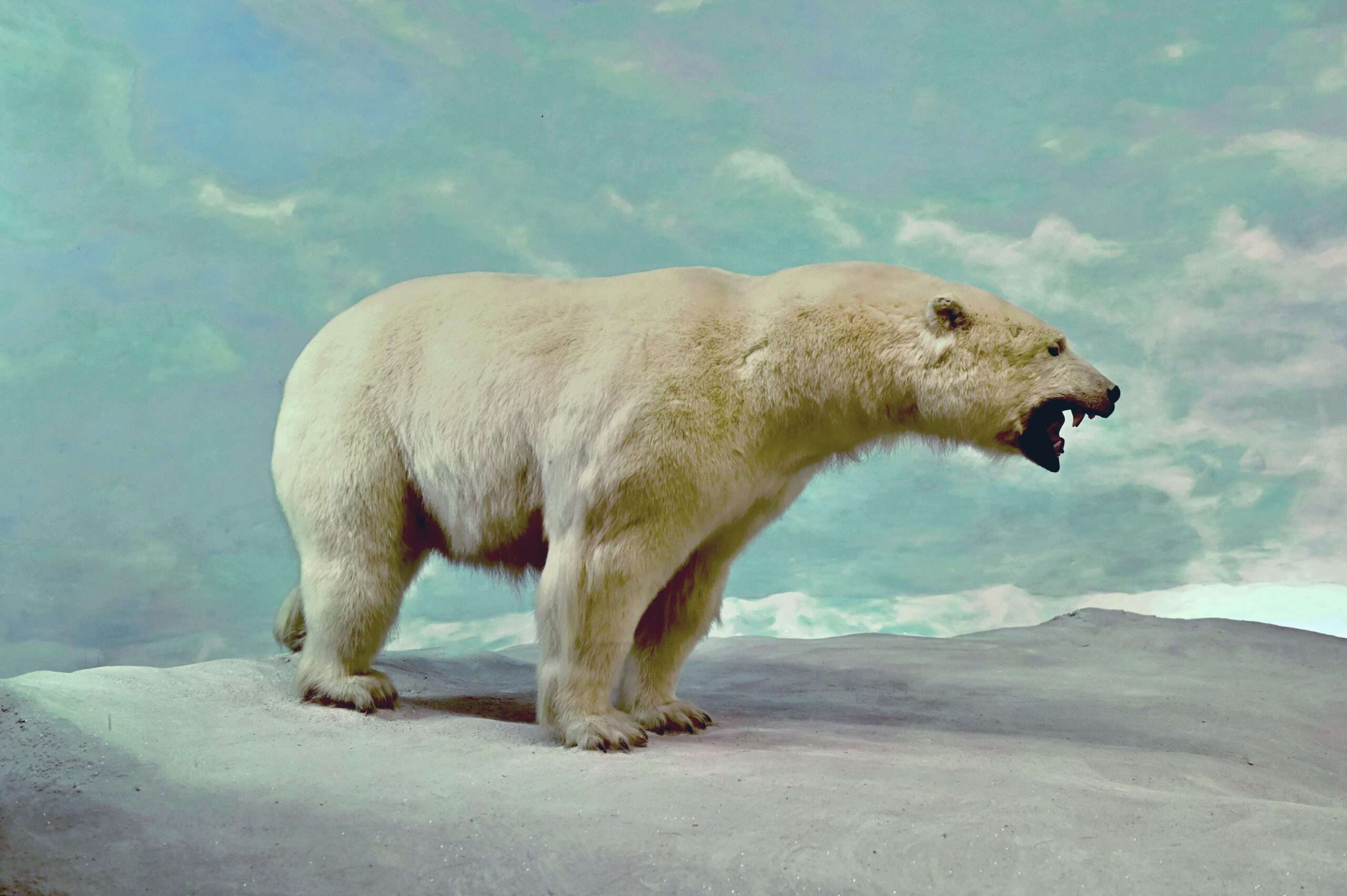Arctic Circle - 7 Incredible Things to Know