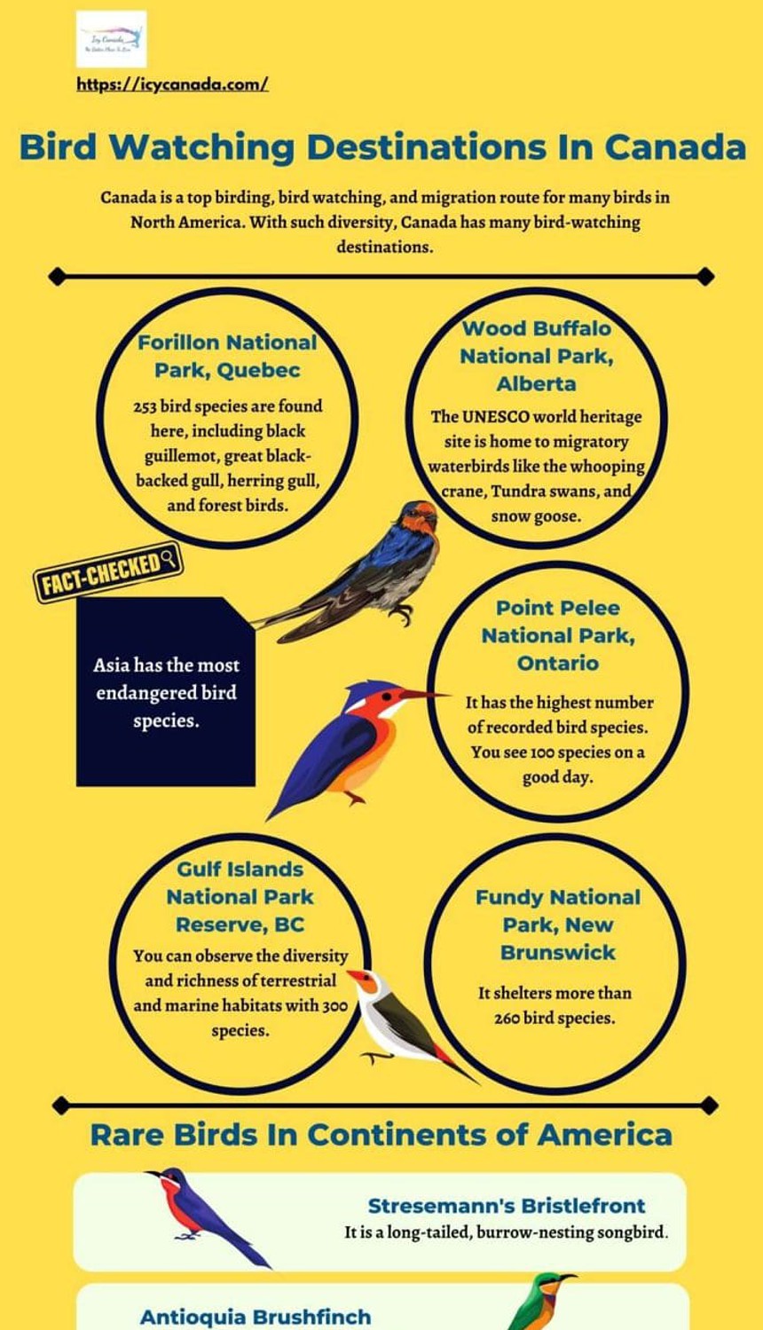 14 Beautiful Canadian Birds To Watch!