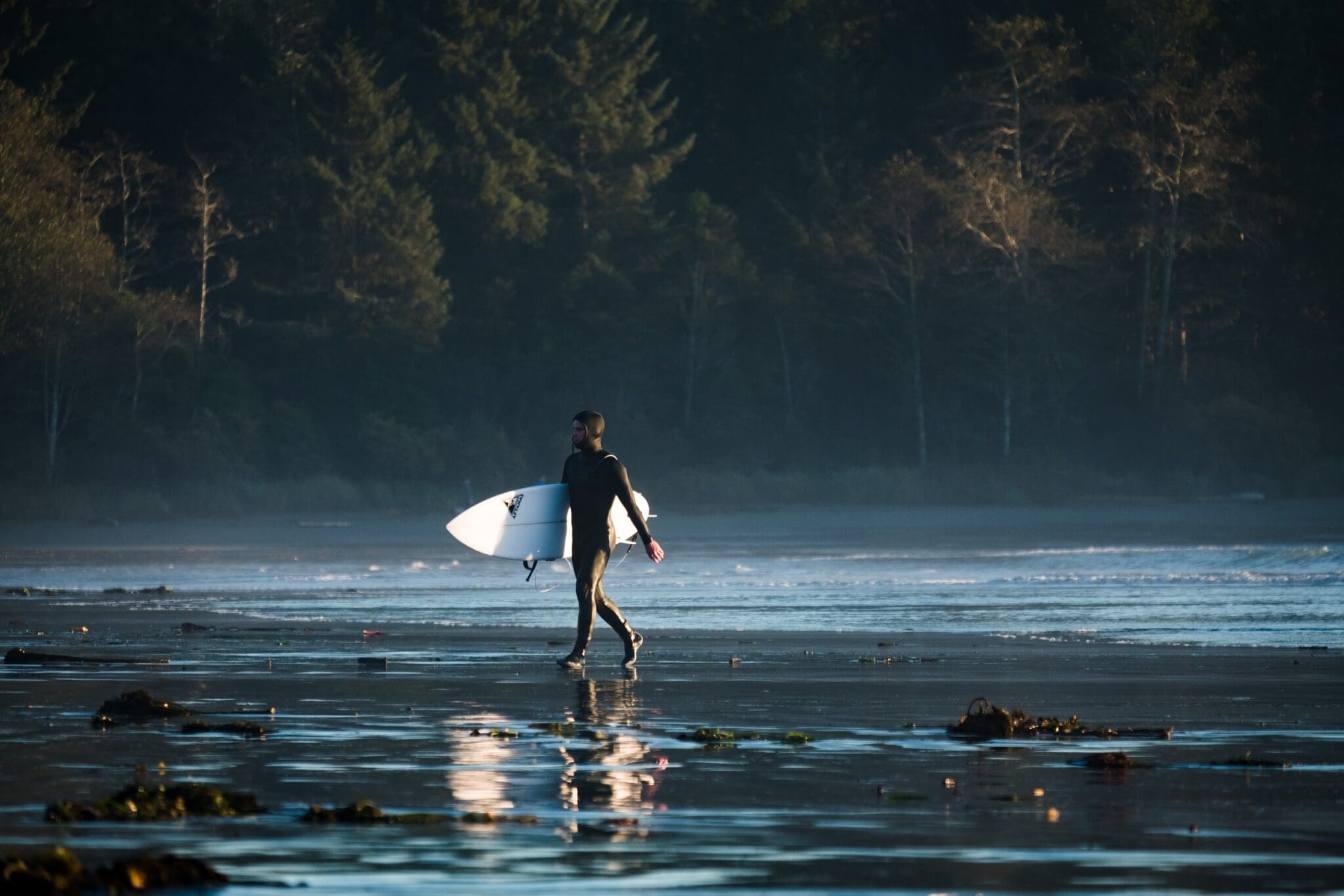 Tofino Surfing - 7 Awesome Things To Know!