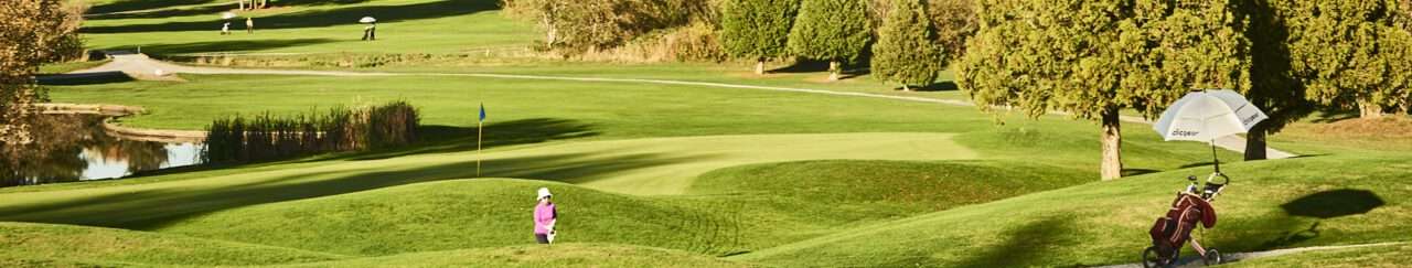 Surrey Golf Course - Your 11 Best Options To Take a Shot