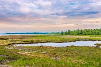 Mighty Miramichi: Explore 5 Best Places and 2 Festivals!