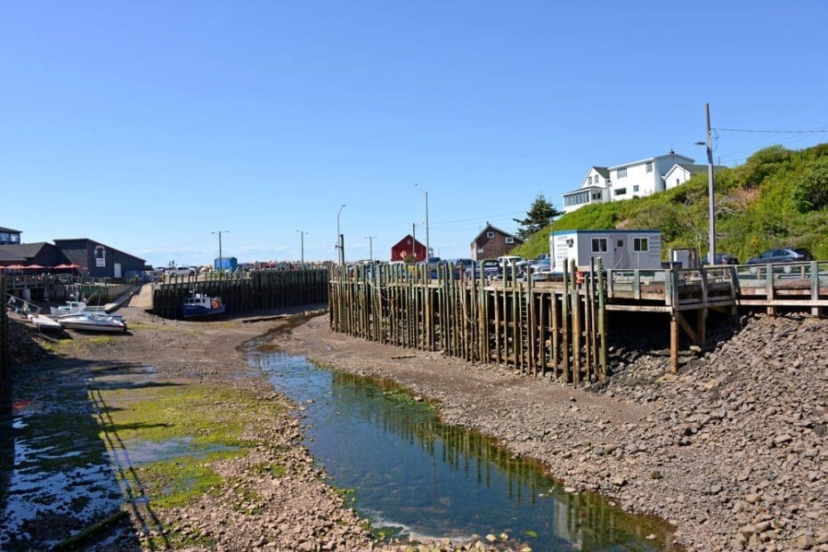 7 Must-Do Activities in Fundy National Park