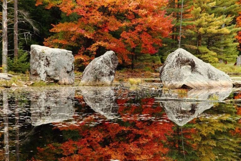 Spectacular Lake Muskoka : Everything You Need To Know