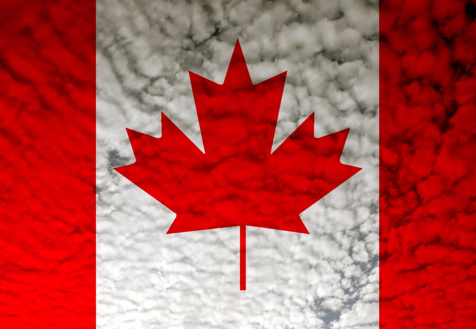What Does the Canadian Charter of Rights and Freedoms Entail?