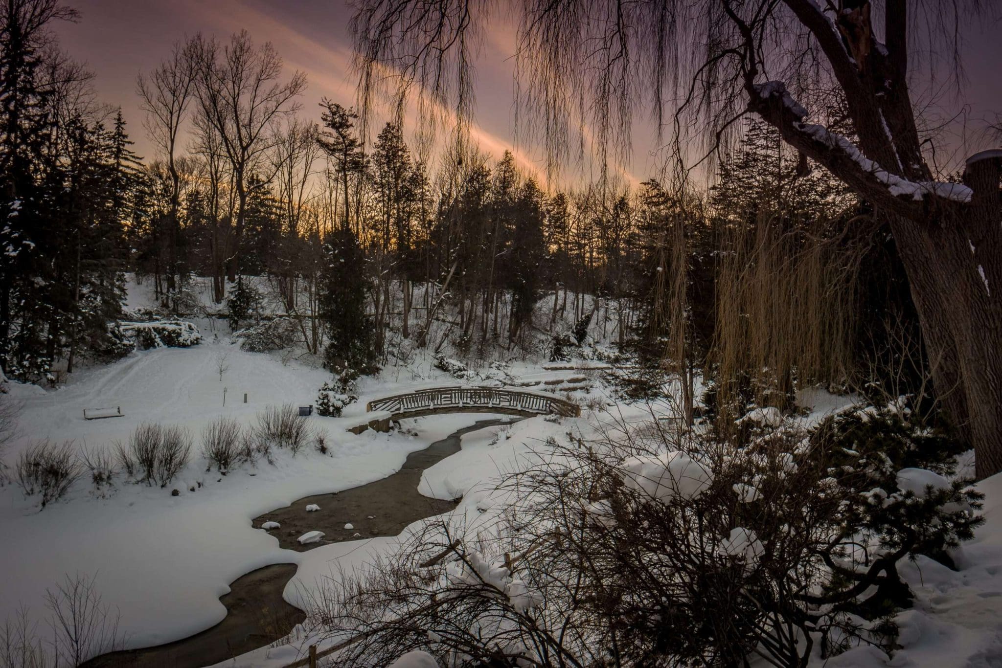 Explore the 12 Best Parks in Toronto - 2021 Guide