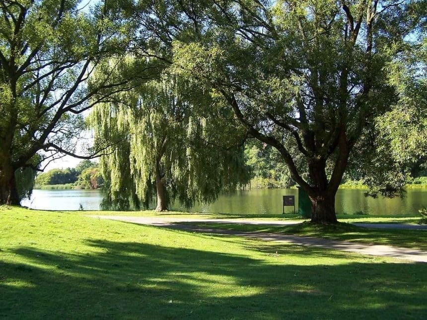 Explore the 12 Best Parks in Toronto - 2021 Guide