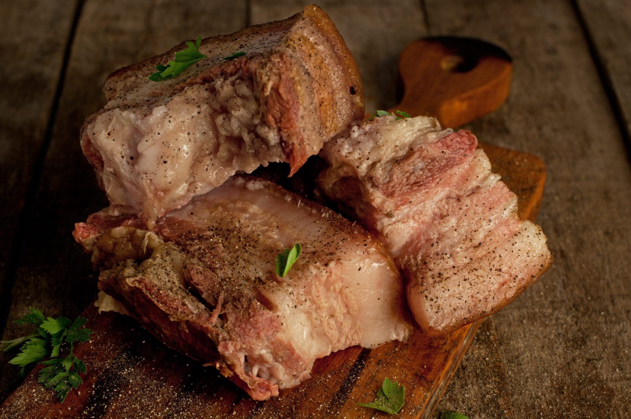 Authentic Pemmican Recipe Guide