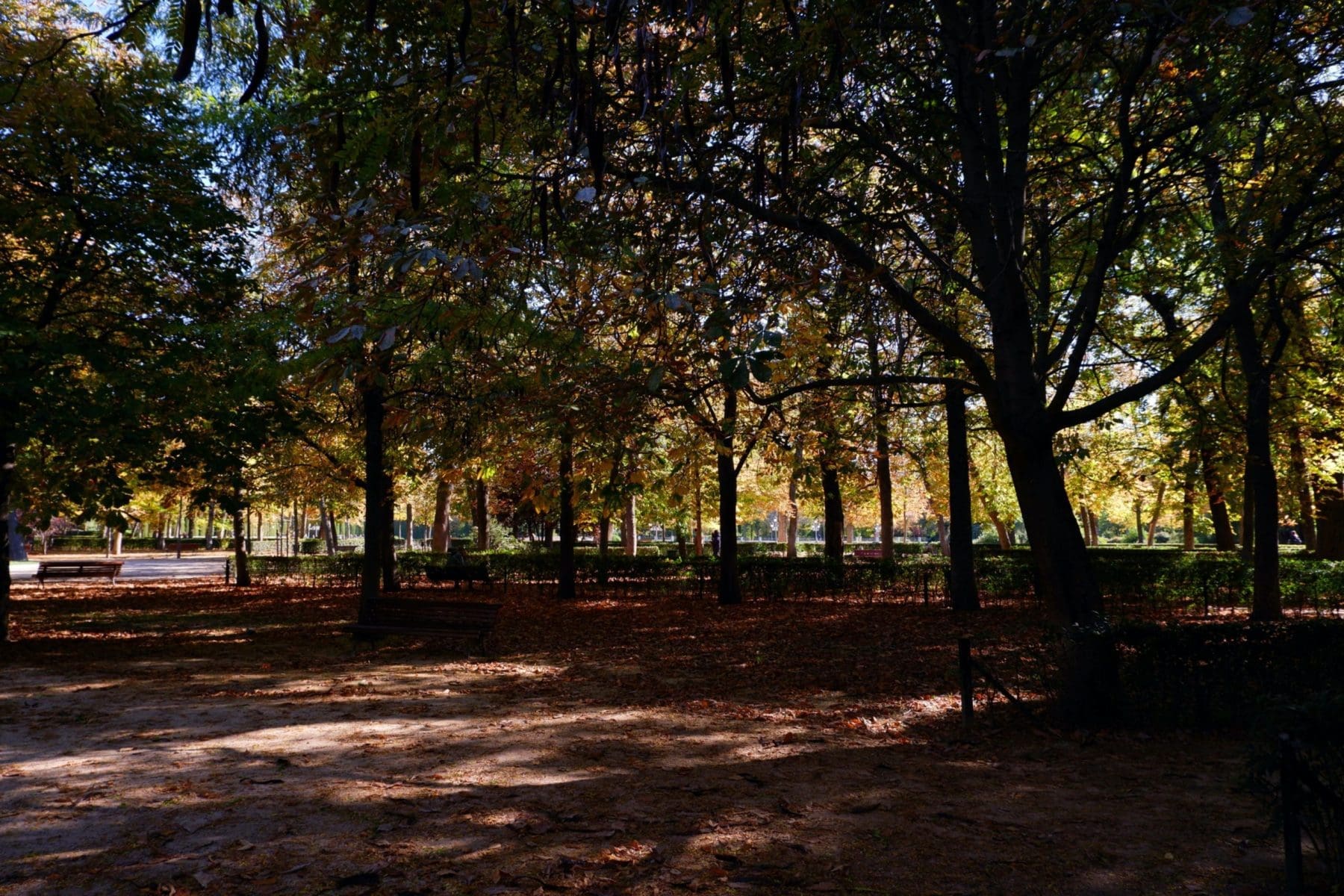 14 Must-See Parks In Toronto