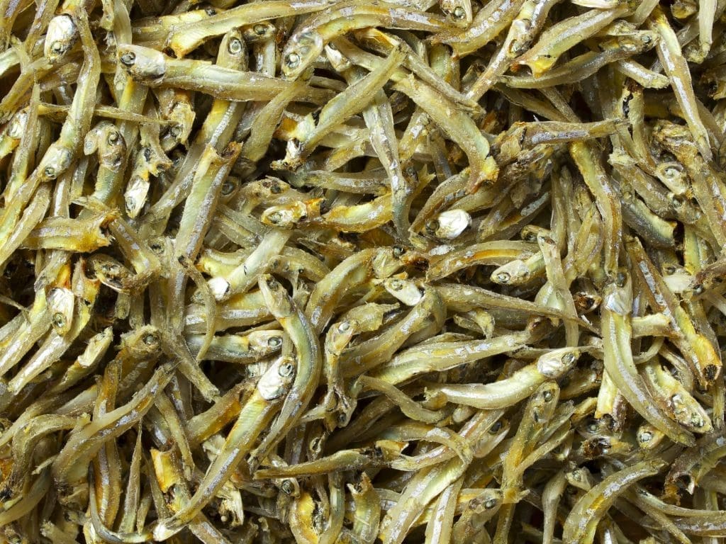 Top 10 Popular Congolese Food For You To Try - Icy Canada