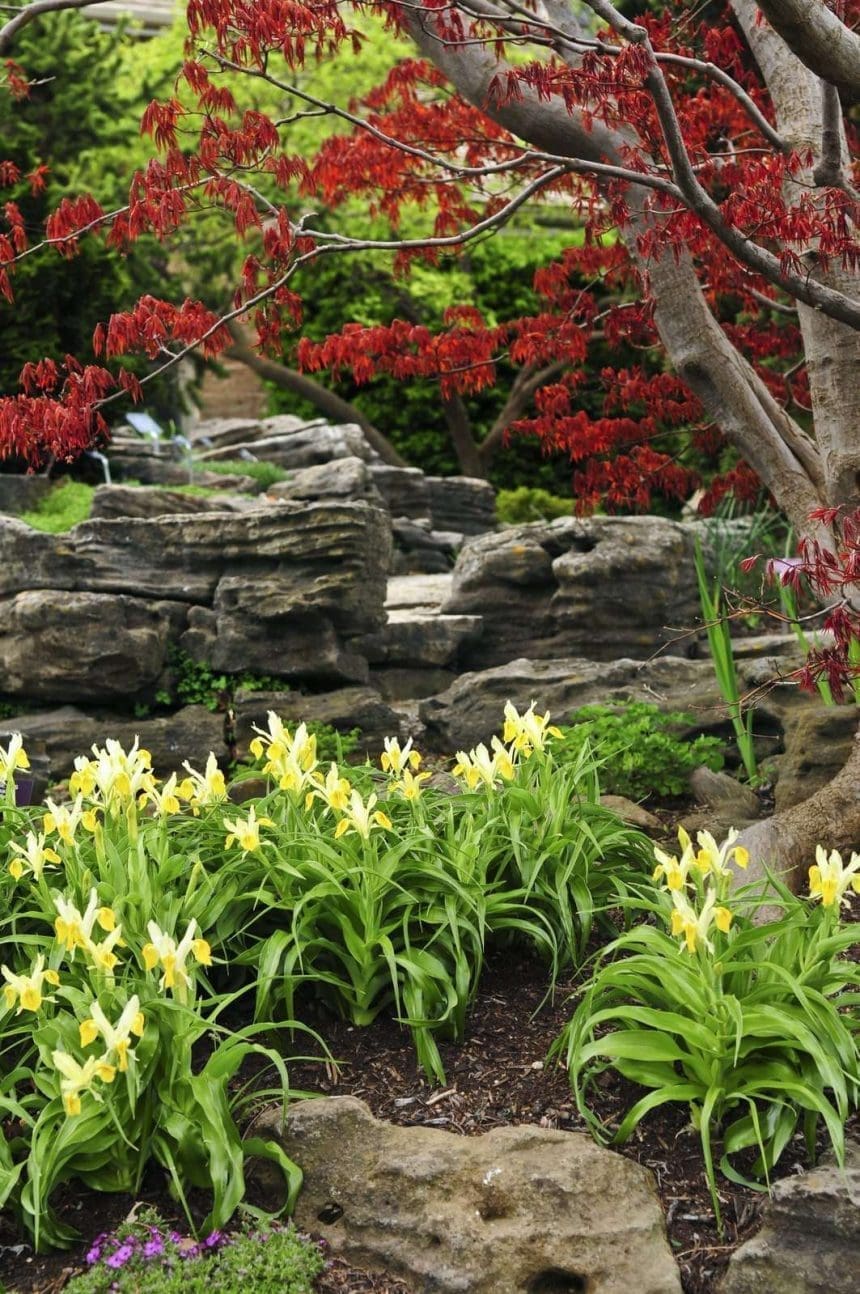 Zen Gardens Unveiled: 5 Interesting Facts About These Tranquil Spaces