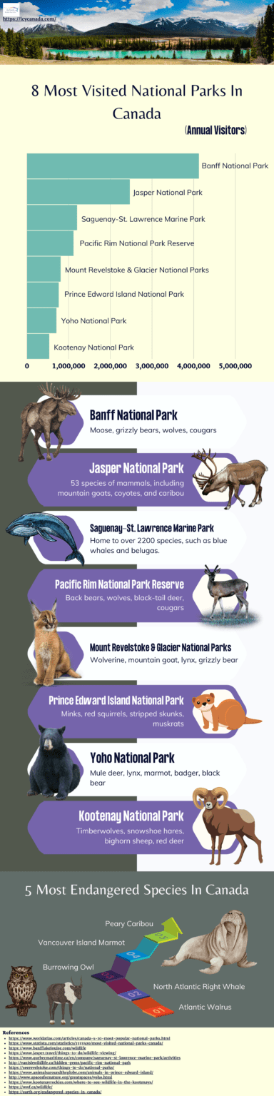 Unveiling Canadian Wildlife: 15 Fascinating Animals