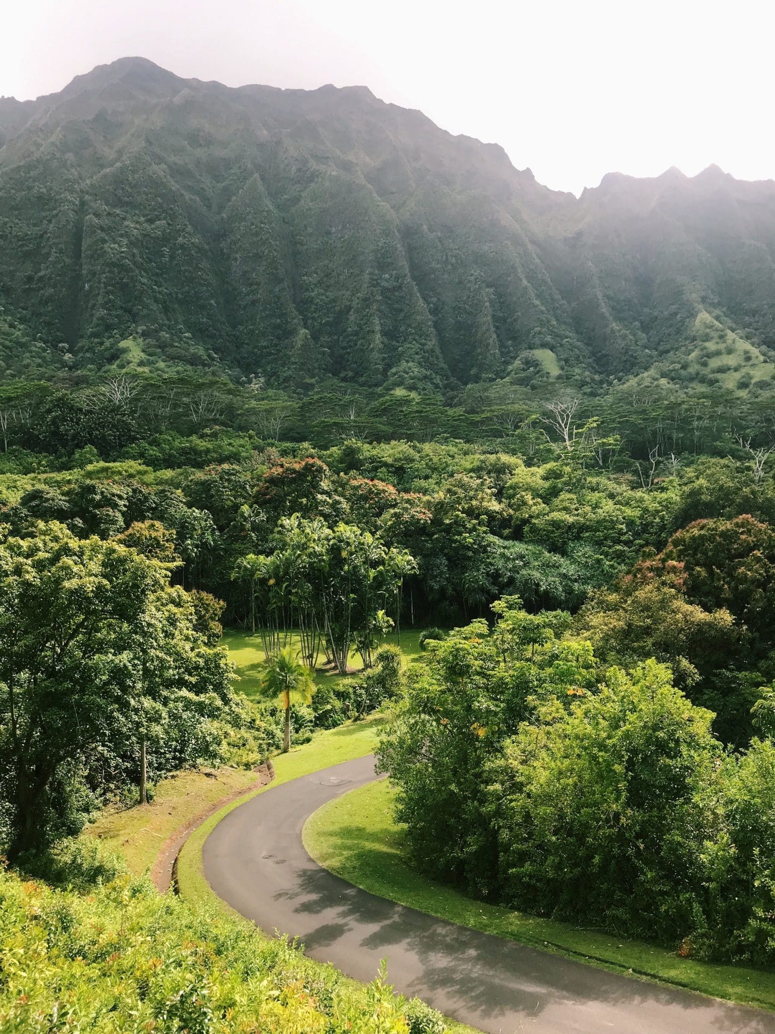 15 Must-See Attractions in Honolulu for an Unforgettable Trip
