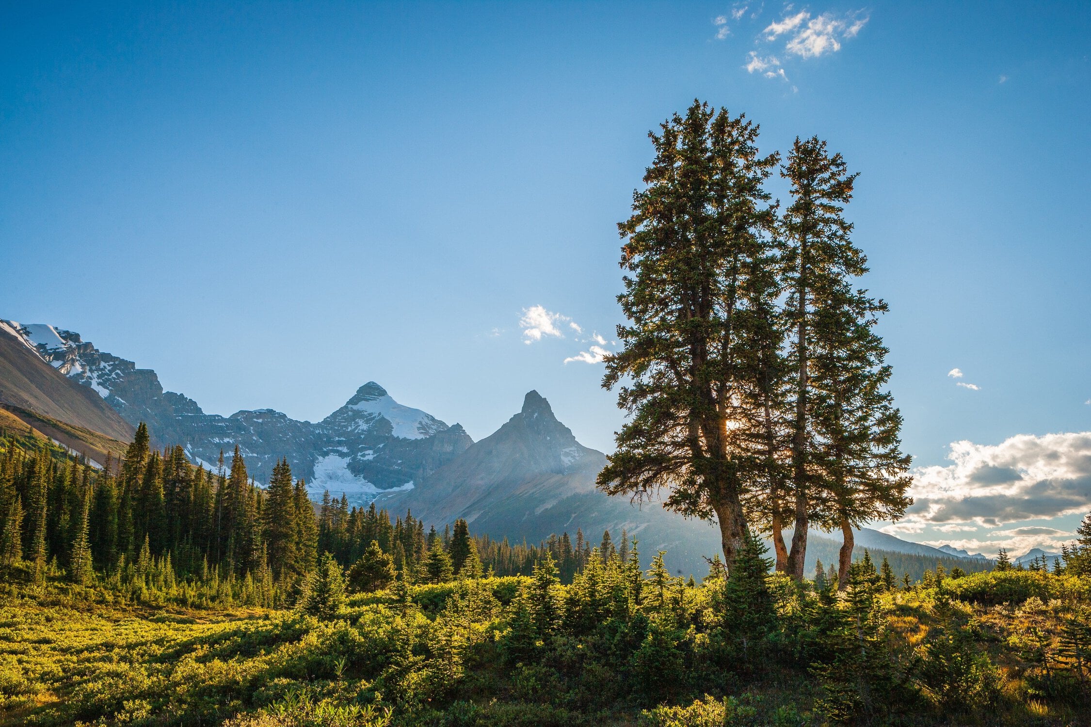15 Most Famous Alberta Tourist Attractions