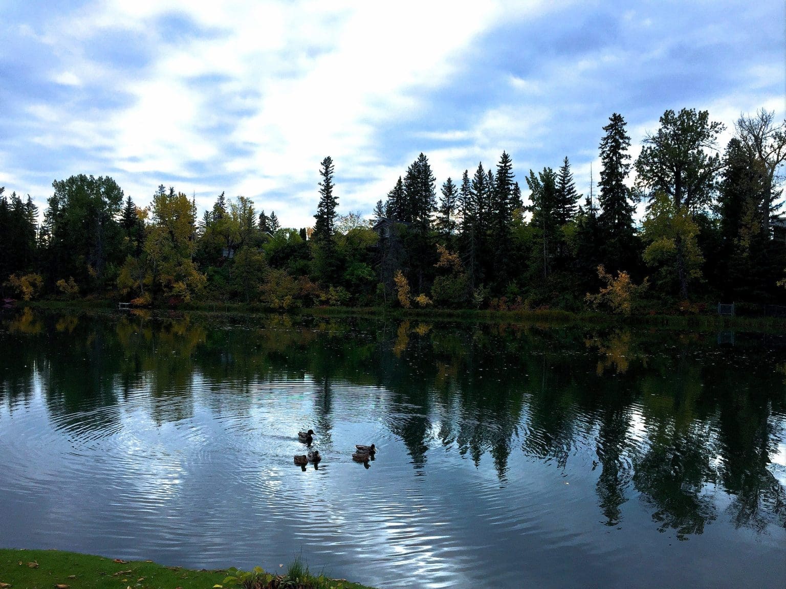 15 Best Places to Go in Calgary for an Unforgettable Experience