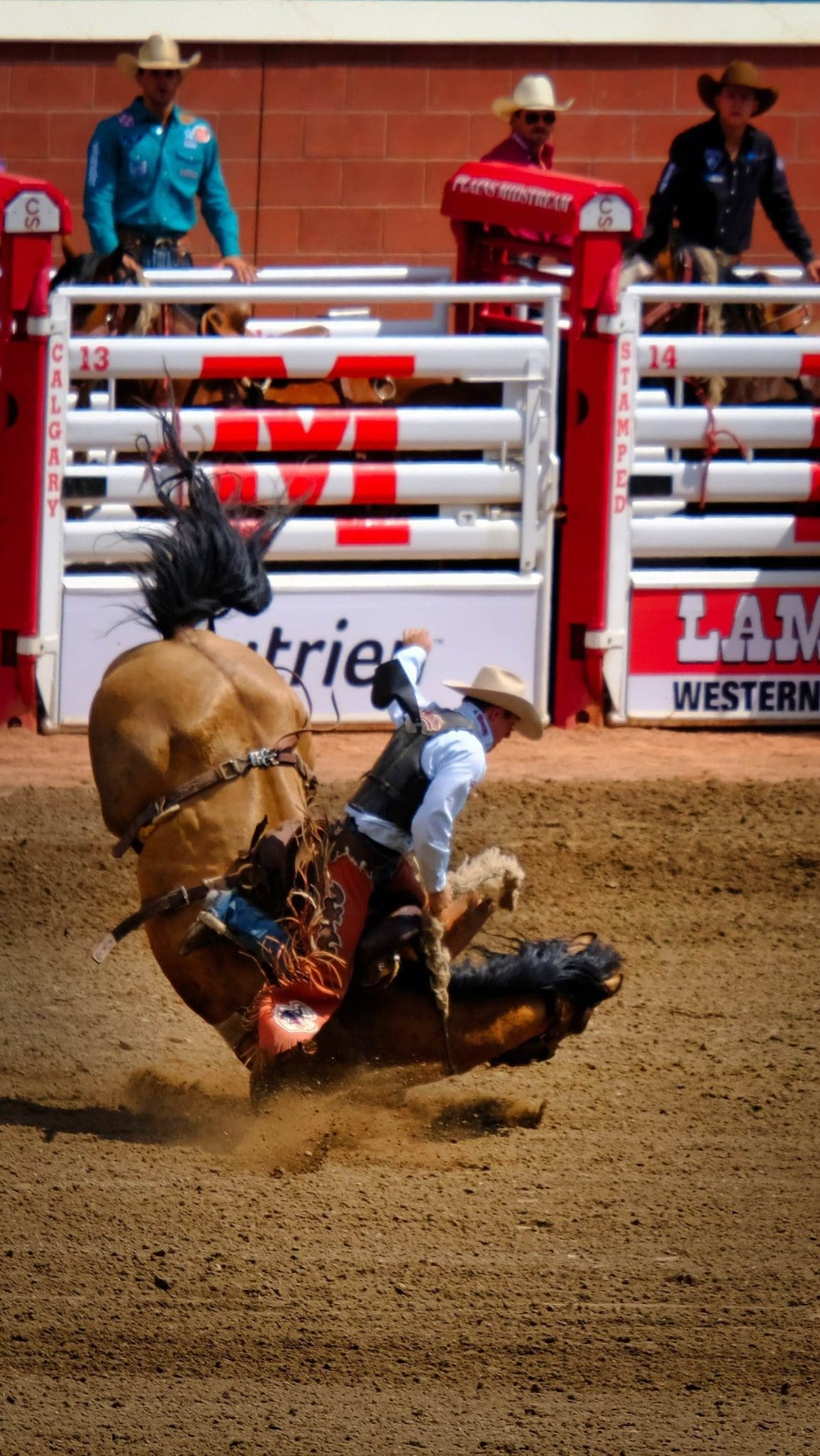 15 Best Places to Go in Calgary for an Unforgettable Experience