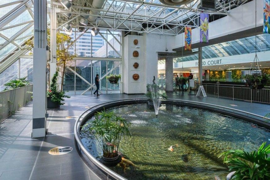 10 Most Beautiful Calgary Gardens To Feast Your Eyes On