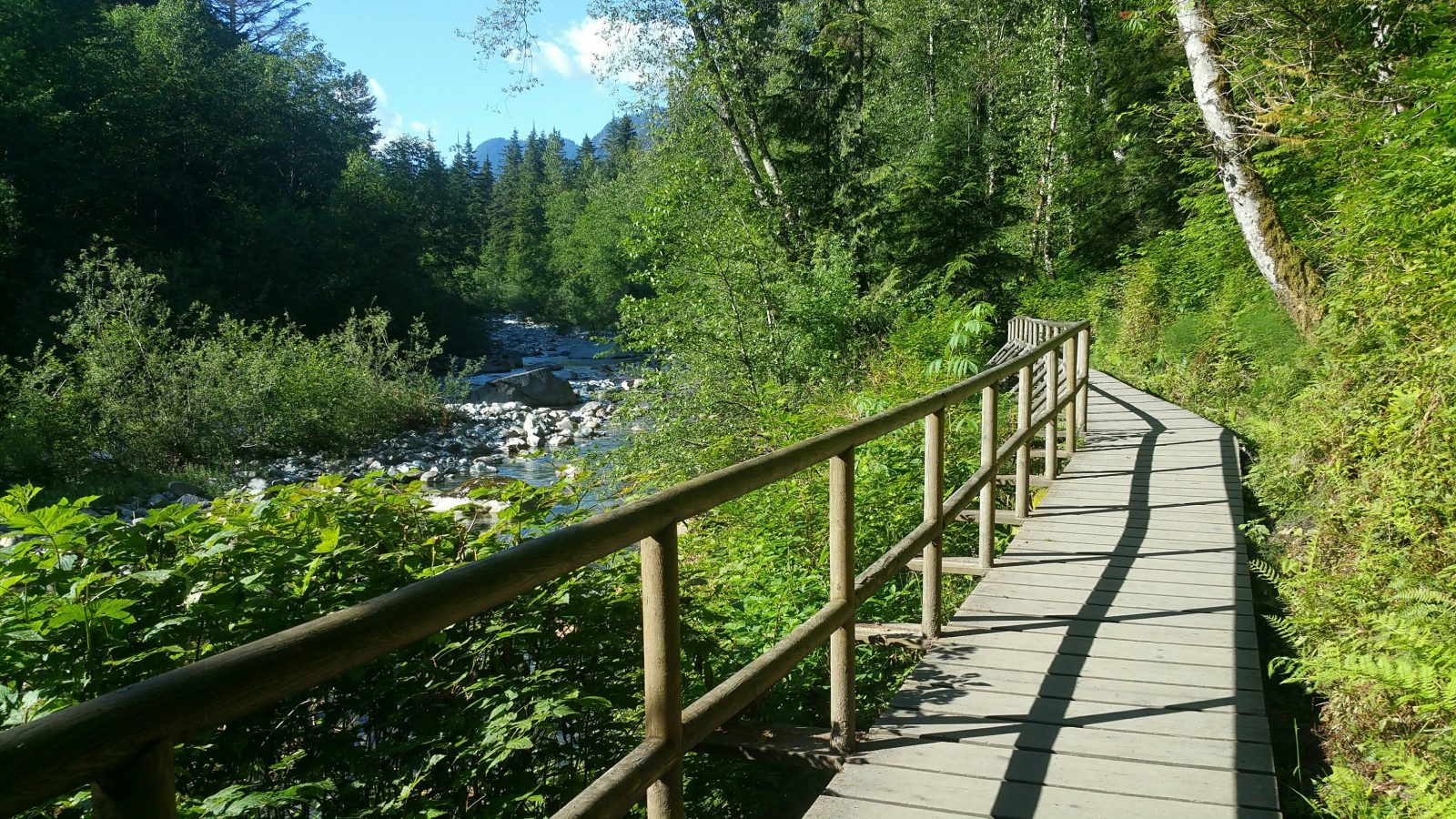 15 Best Hamilton Hiking Trails