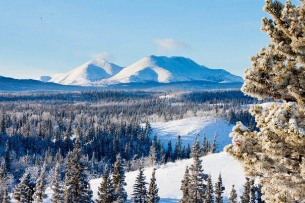 38 Interesting Canada Culture Facts