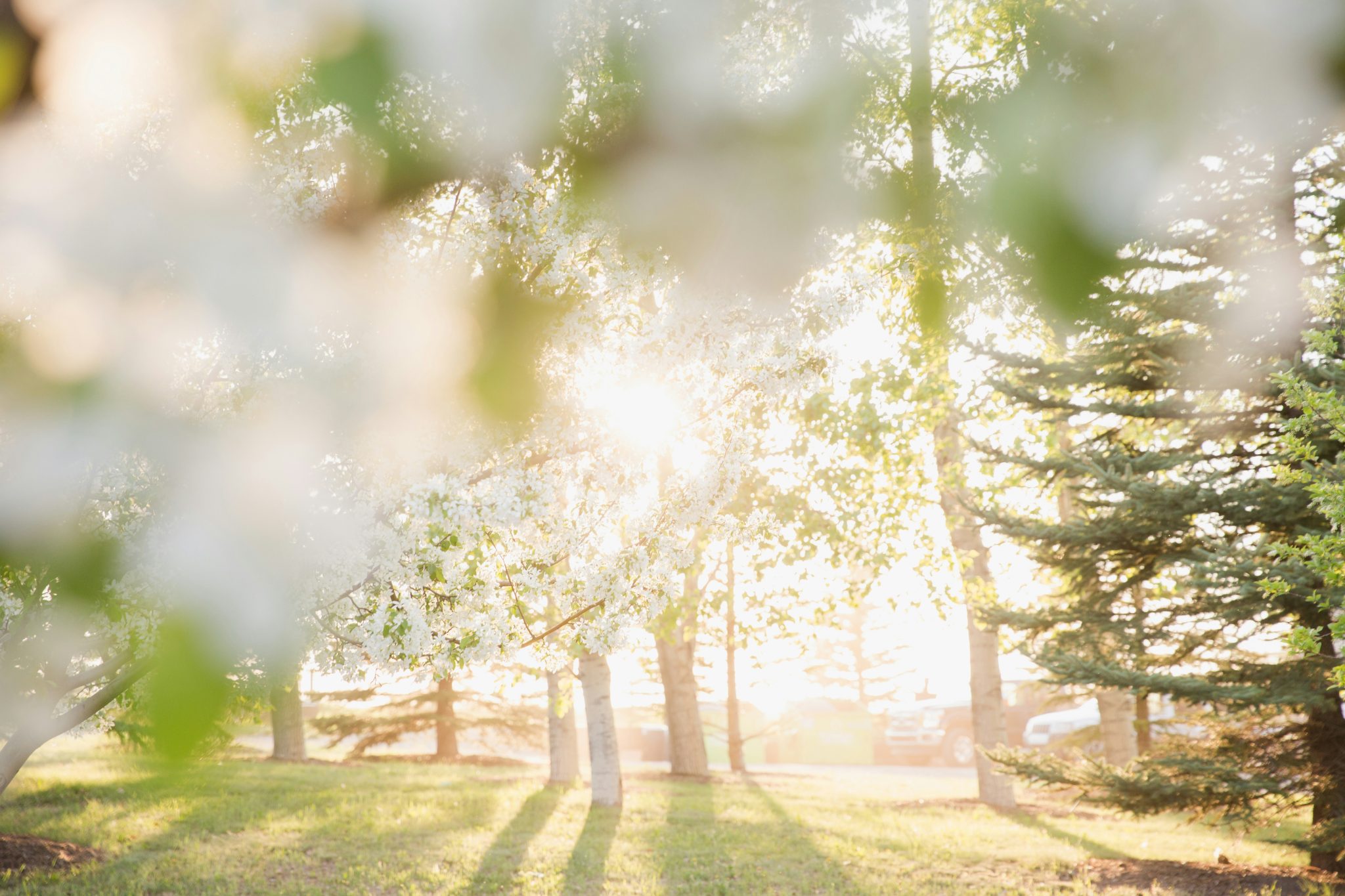 Explore 11 Best Places to Live in Alberta