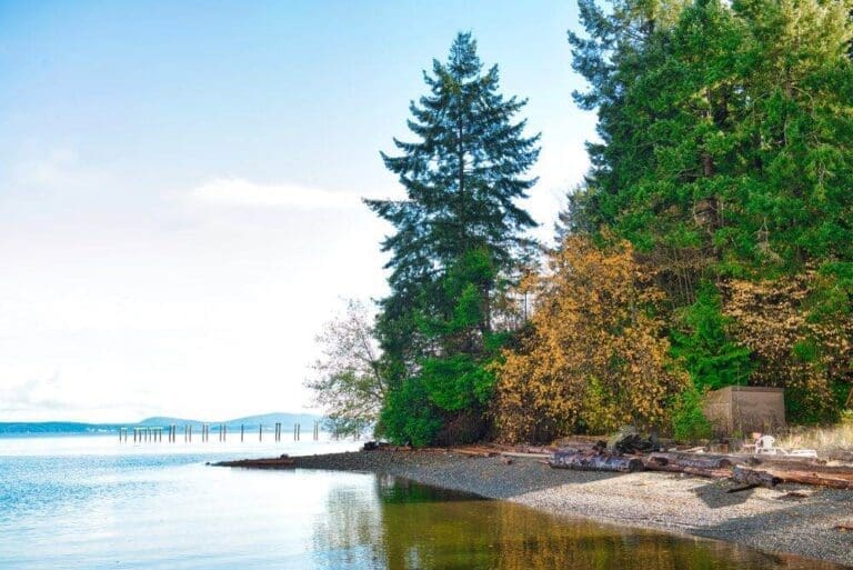 Explore 11 Best Places to Live in Alberta